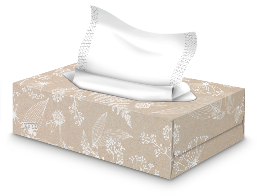 TEMPO Light Box - Tempo